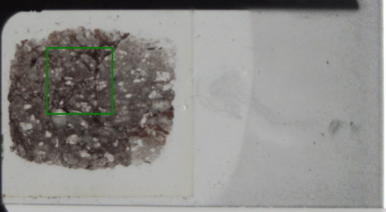 Tuff Whole Slide Image Viewer-uScope :: Microscopes Intl.